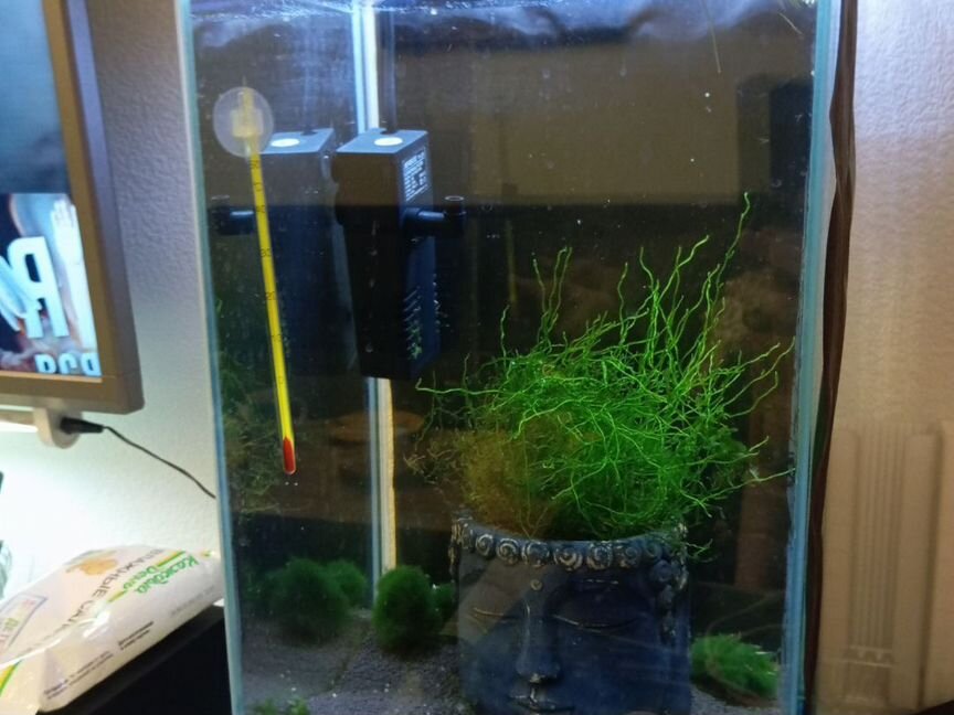 Аквариум 20 литров