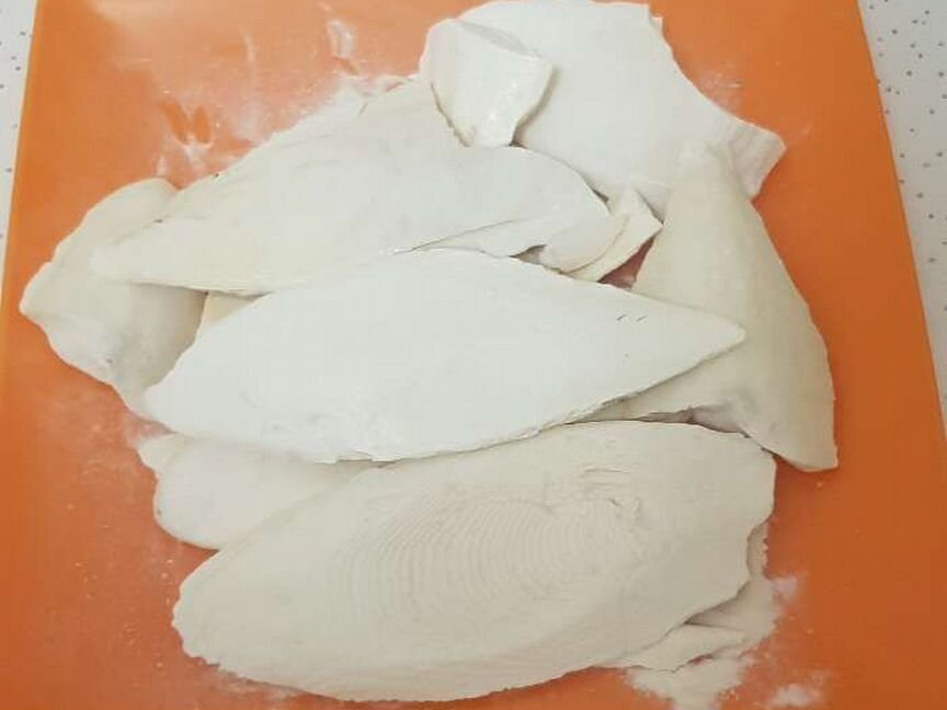 Сепия панцирь каракатицы