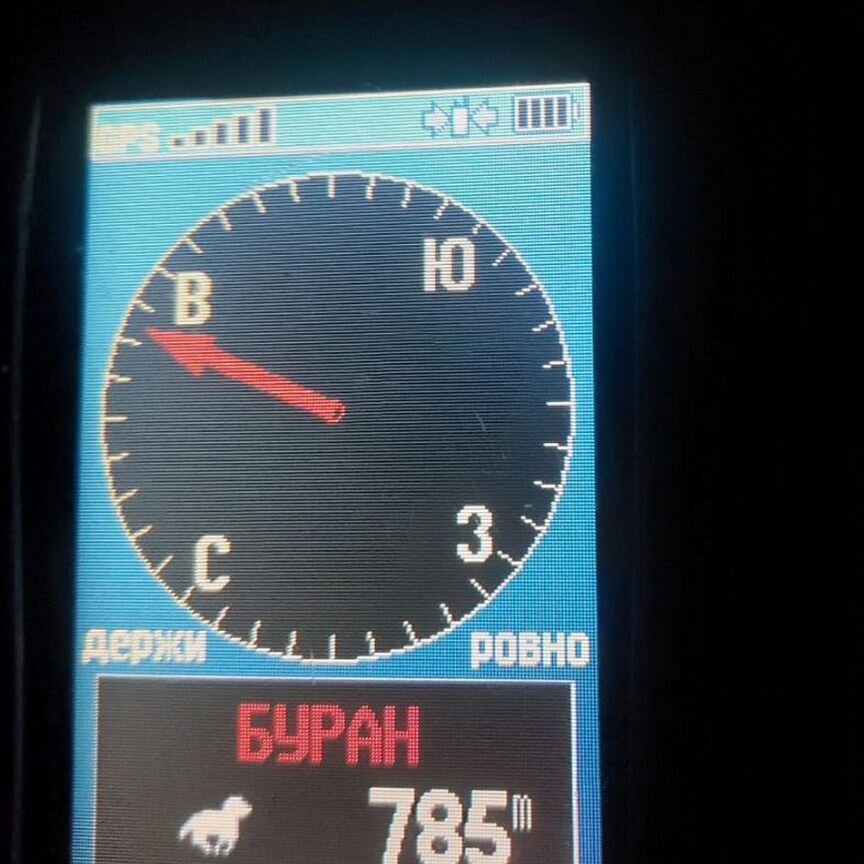 Западно сибирская лайка