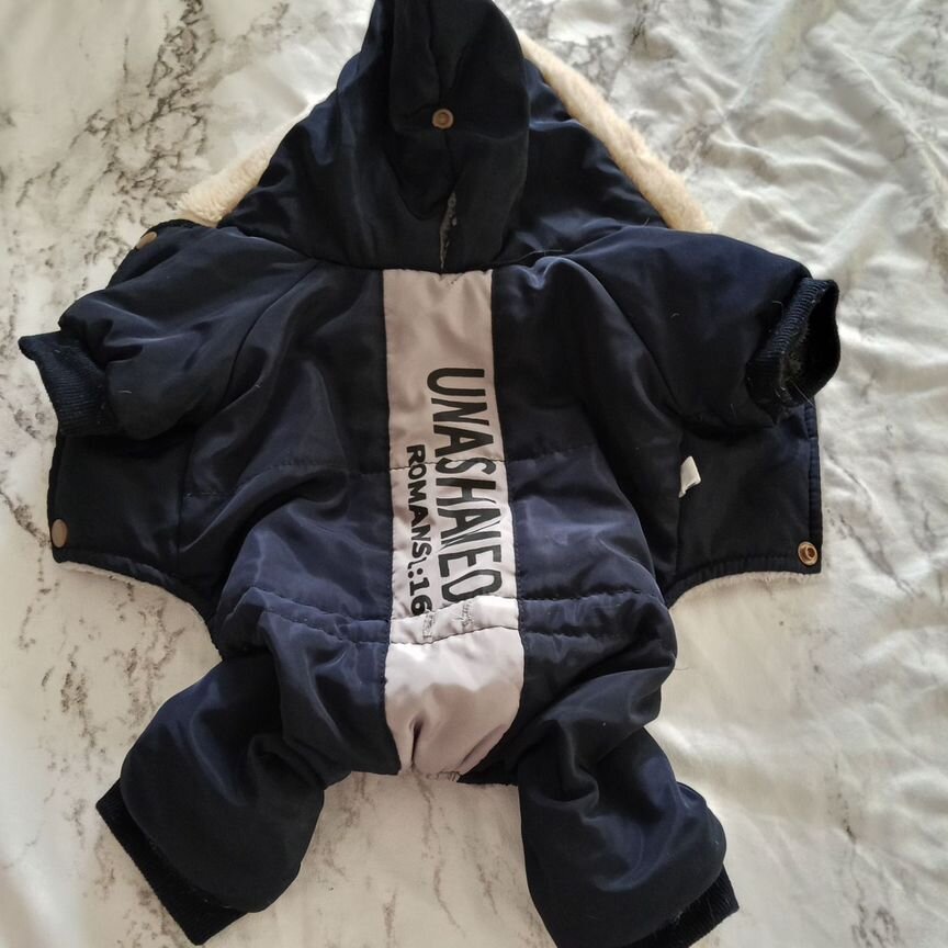 Одежда для собак мелких пород пакетом