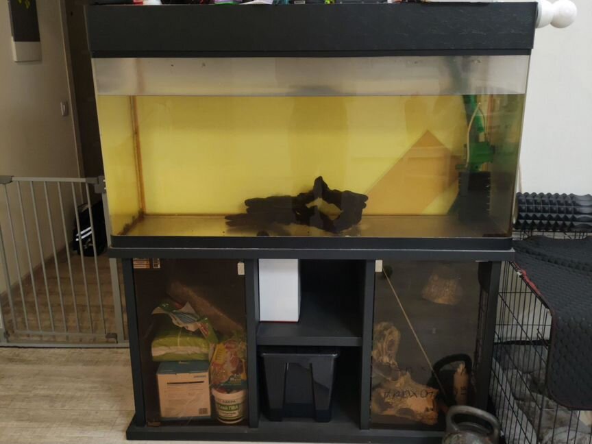 Аквариум акрил гнутые углы, тумба винил