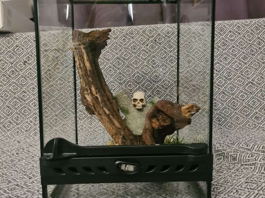 Террариум exo terra 202030