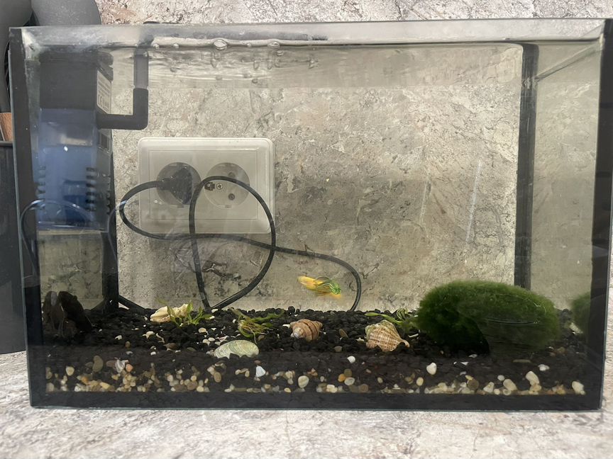 Аквариум с рыбками