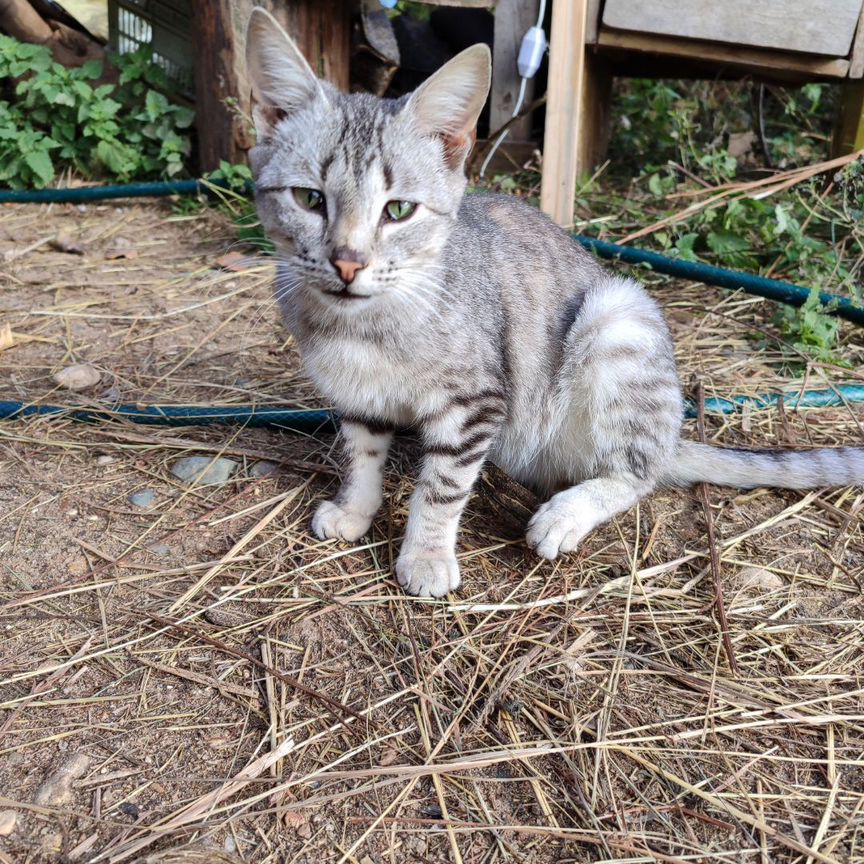 Мальчик ищет семью