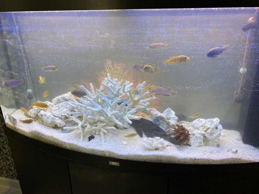 Аквариум juwel 260 с тумбой