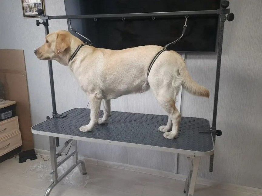 Стол для груминга 120 х 60 см