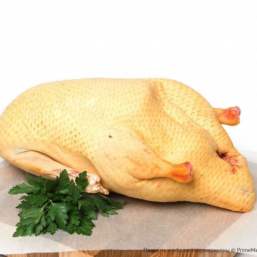 Гусь