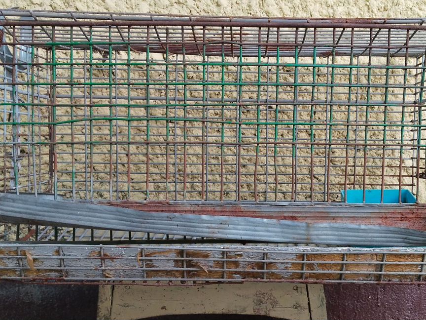 Клетка для перепелок