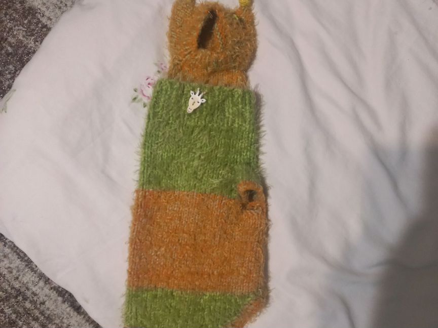 Костюм для чихуа