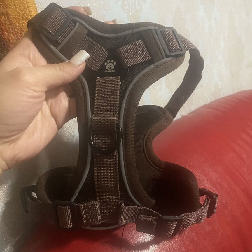 Шлейка и поводок