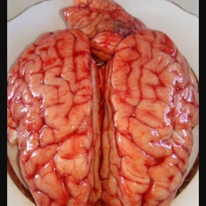 Говяжьи мозги