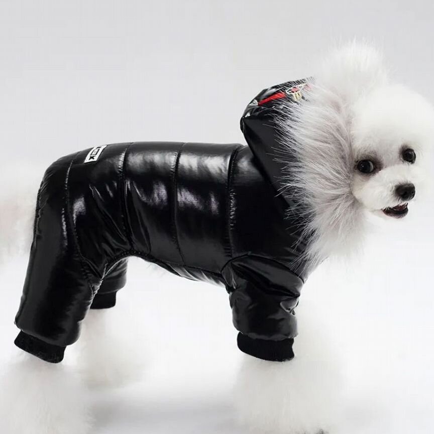 Одежда для маленьких собак s