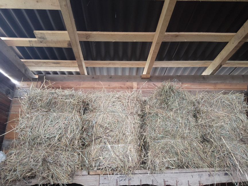 Сено в тюках