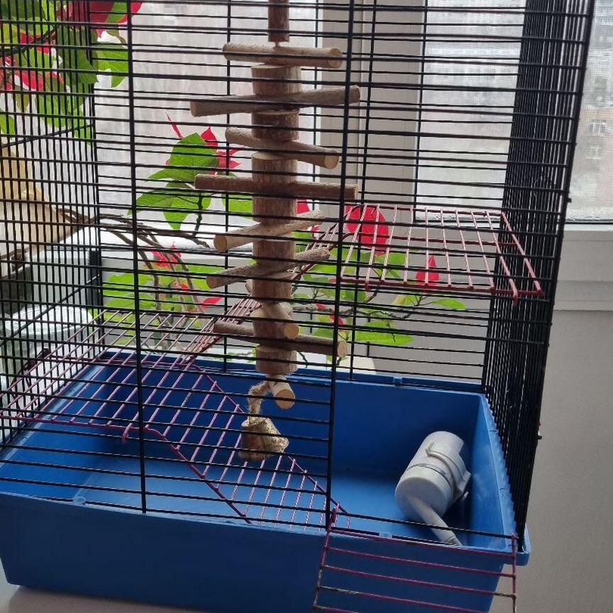 Клетка для грызунов