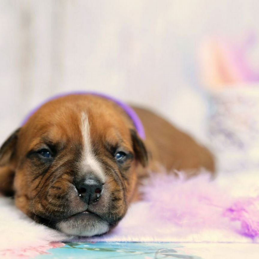 Мальчик в тяжёлом типе