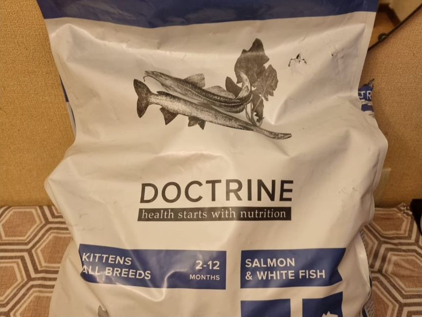Корм для котят doctrine