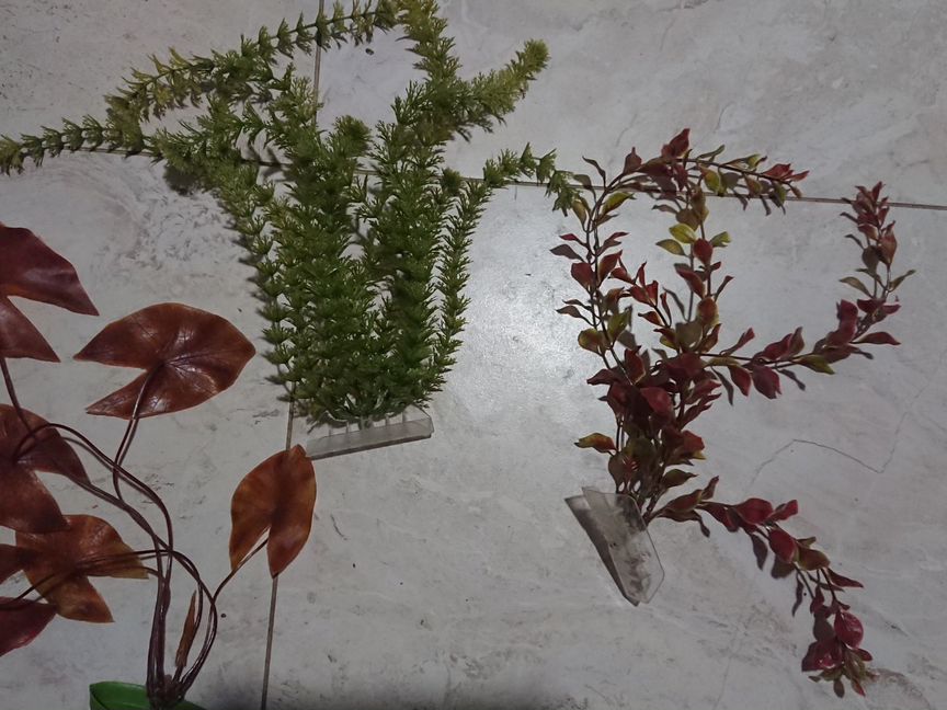 Аквариумные растения искусственные)