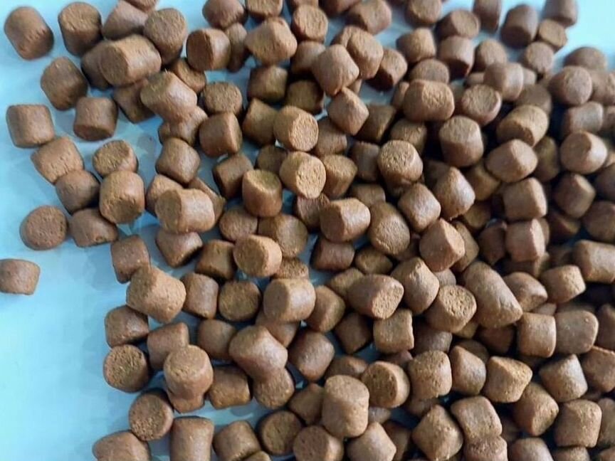 Корм для прудовой рыбы