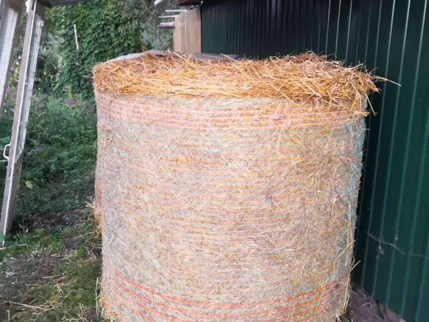 Сено-Солома