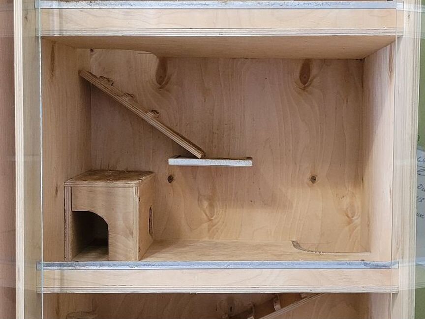 Клетка витрина для дегу или шиншиллы