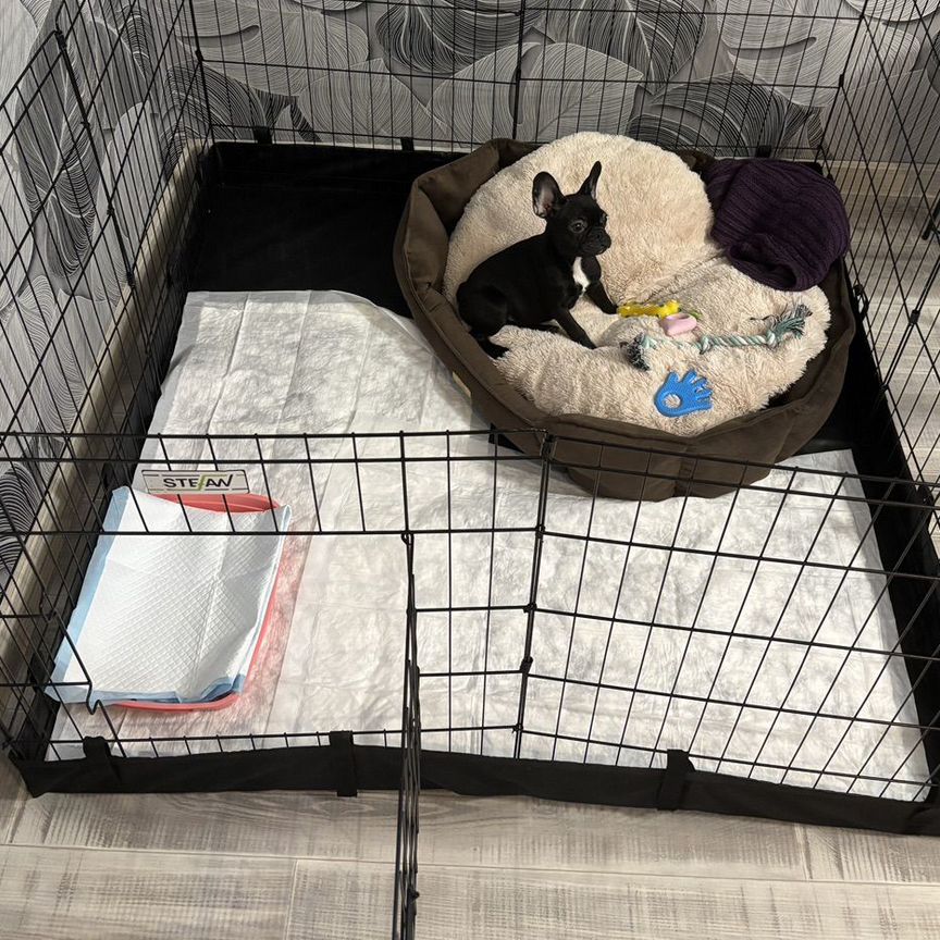 Клетка вольер для собак