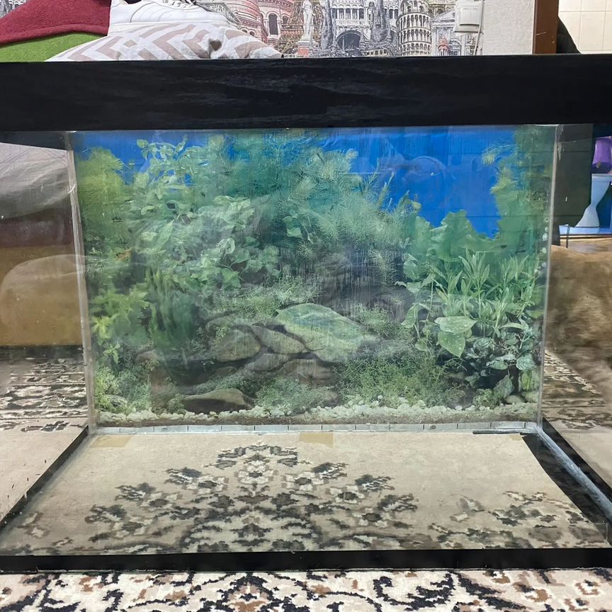 Аквариум б/у