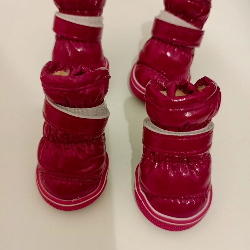 Одежда для собак