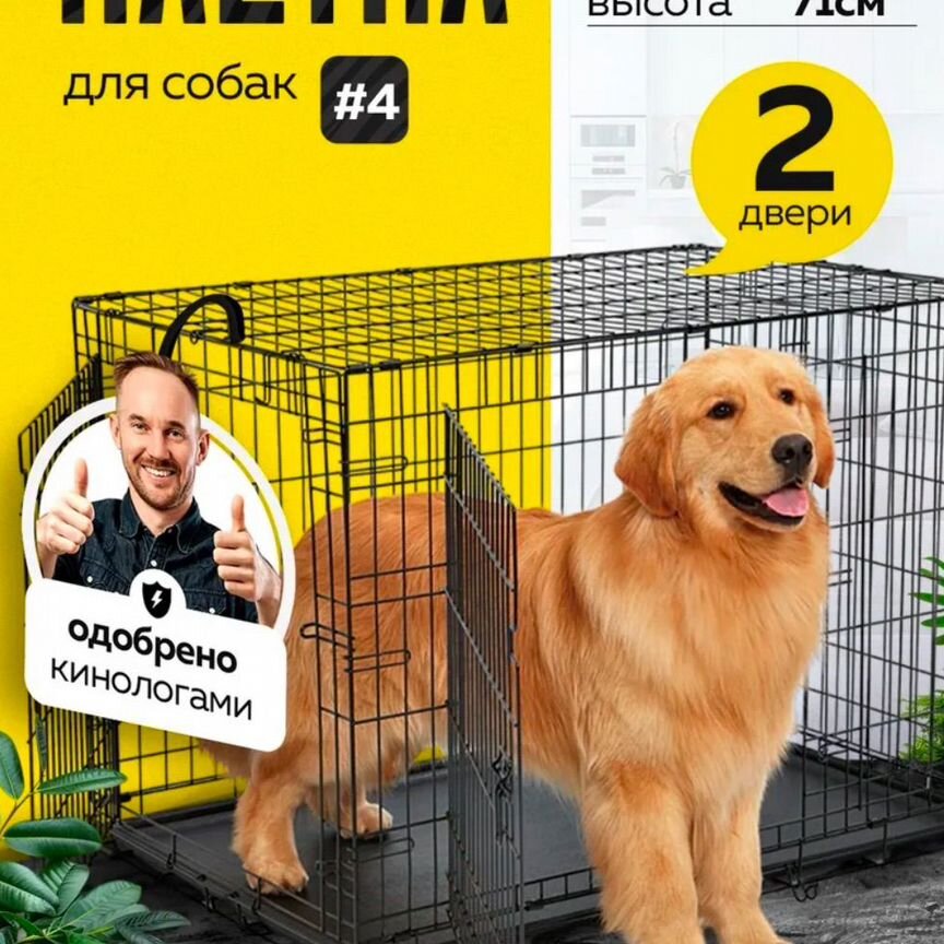 Клетка 4
