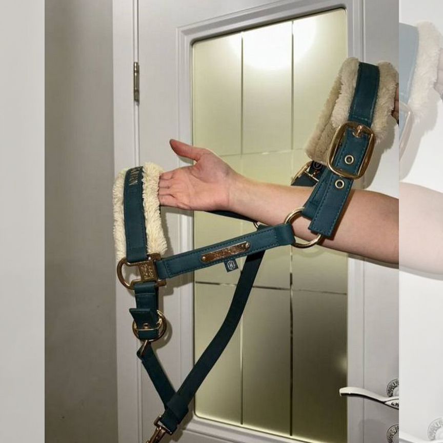 Недоуздок для лошади