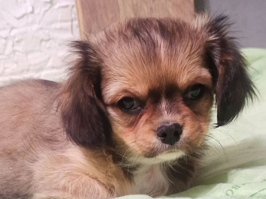 Чудо природы. Девочка