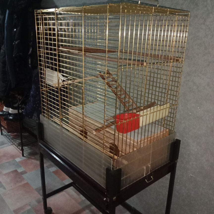 Клетка для крупного попугая