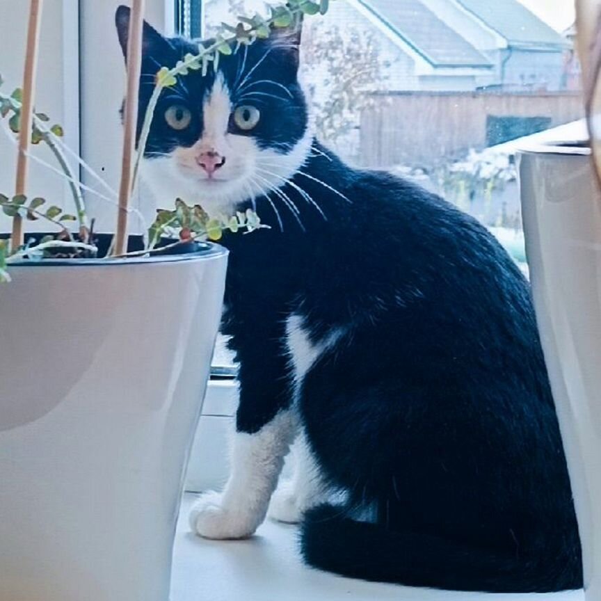 Ищу добрую и заботливую мамочку