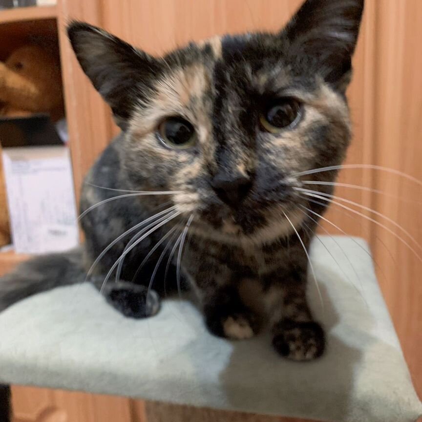 Меня никто не хочет брать