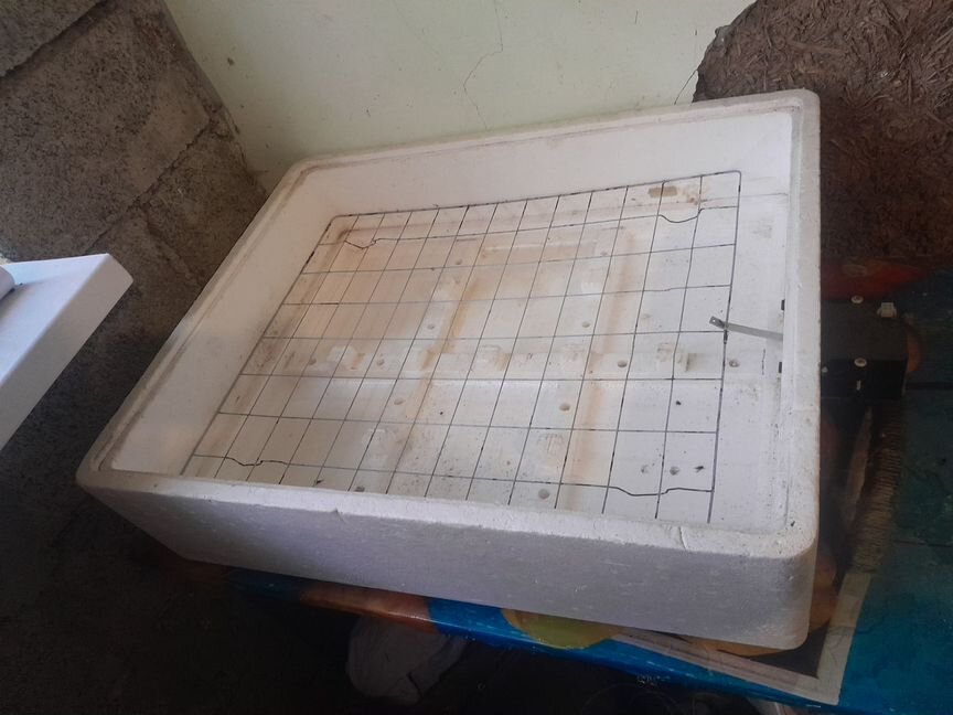 Инкубатор для яиц автоматический бу