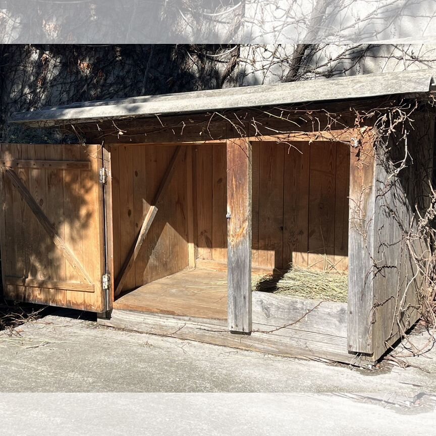 Будка для большой собаки