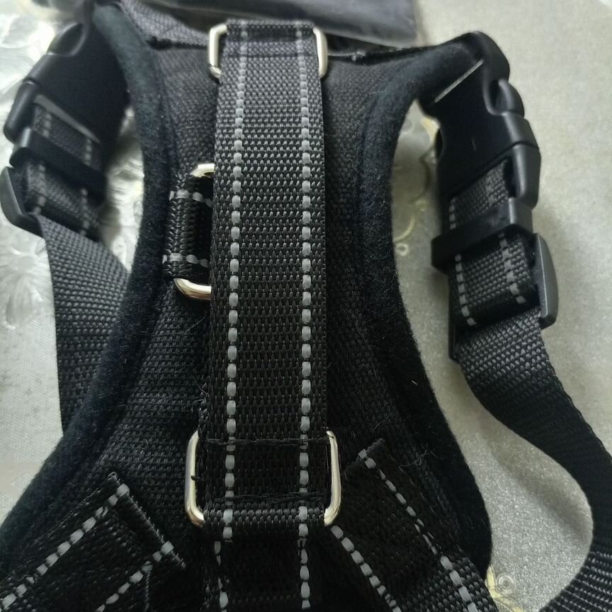 Шлейка, намордник для собак