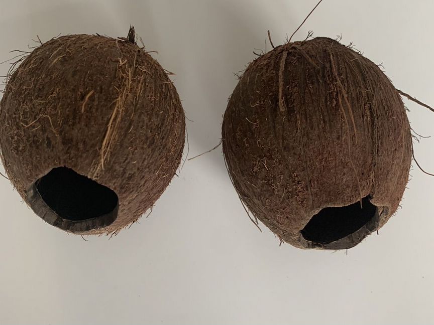 Кокос для аквариума