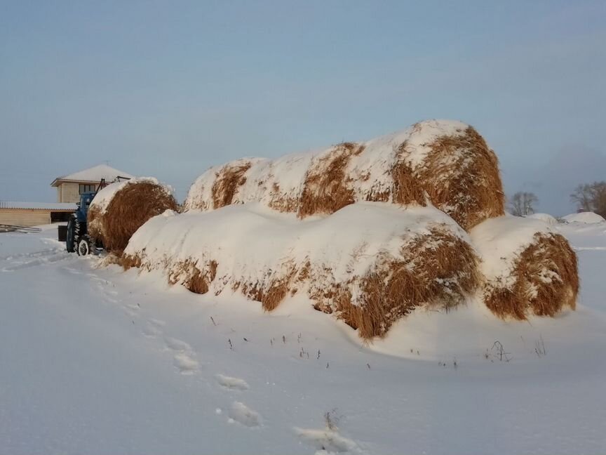 Сено