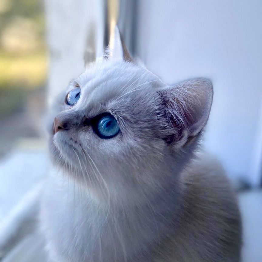 Девочка с глазами цвета океана