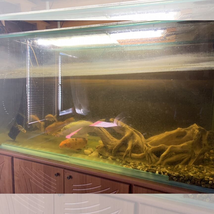 Аквариум с тумбой 2 тысячи литров