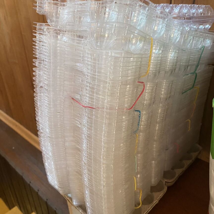 Ячейки для перепилинных яиц