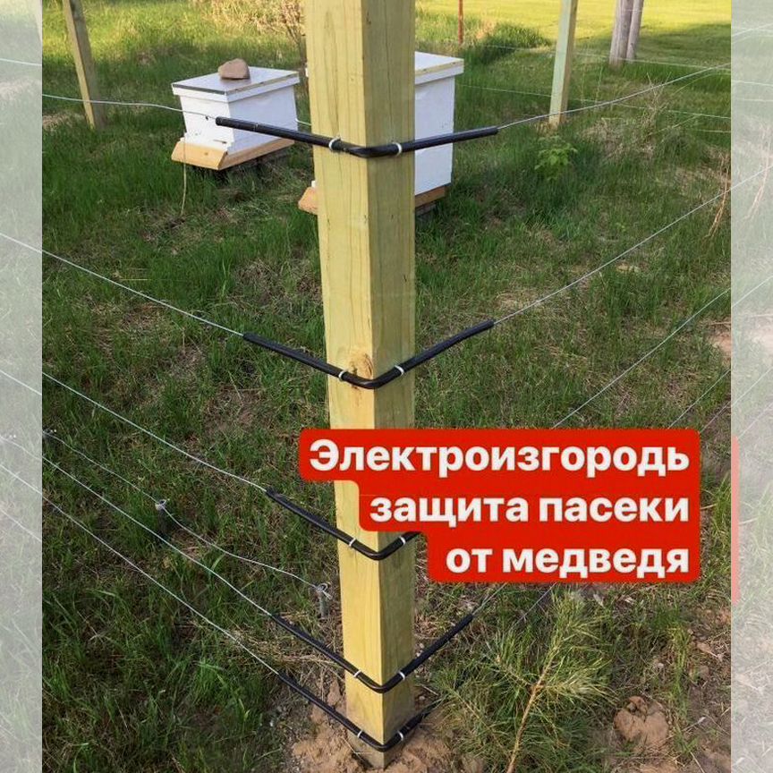 Электропастух для молочных крс