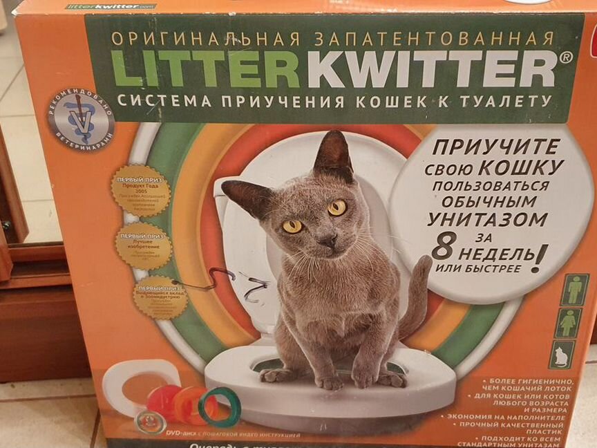 Сиденье на унитаз для кошек приучить к