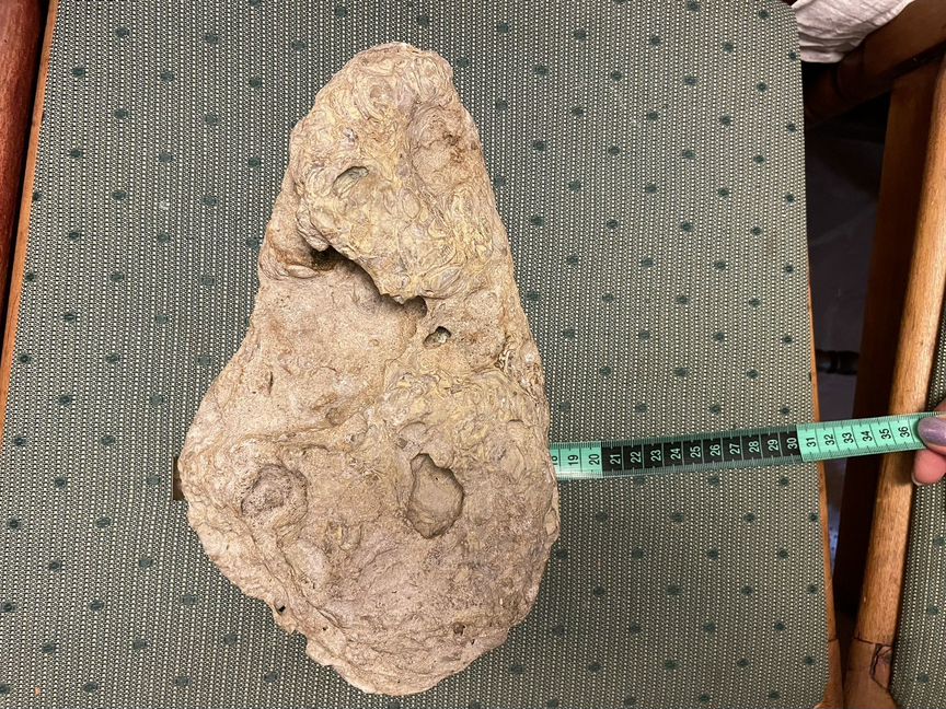 Камень для террариума