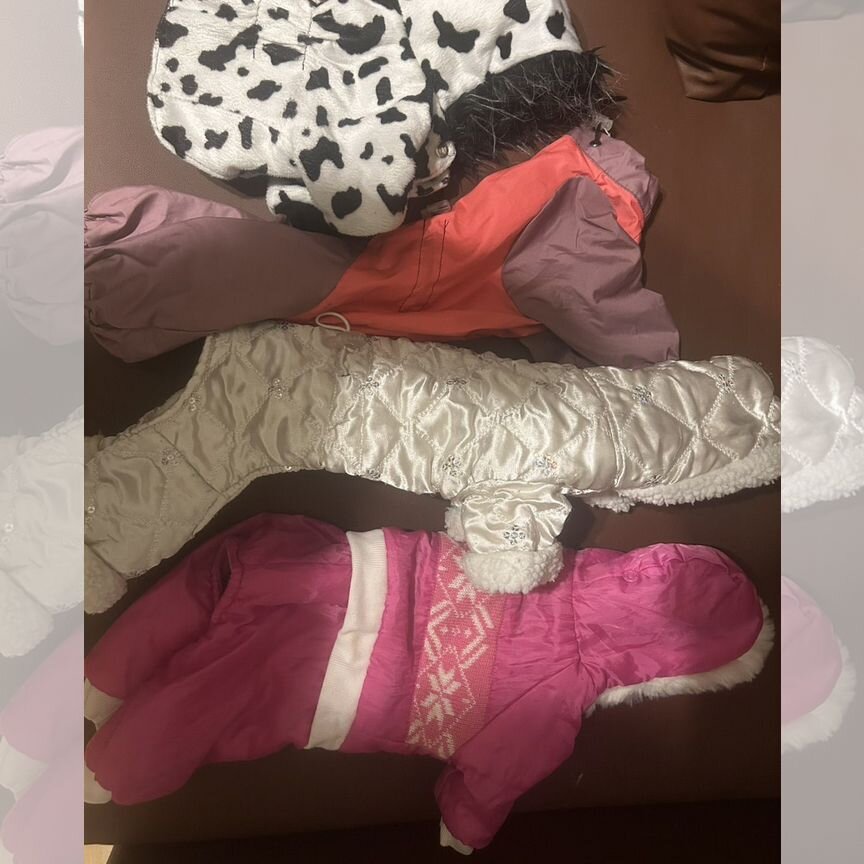 Одежда для собак