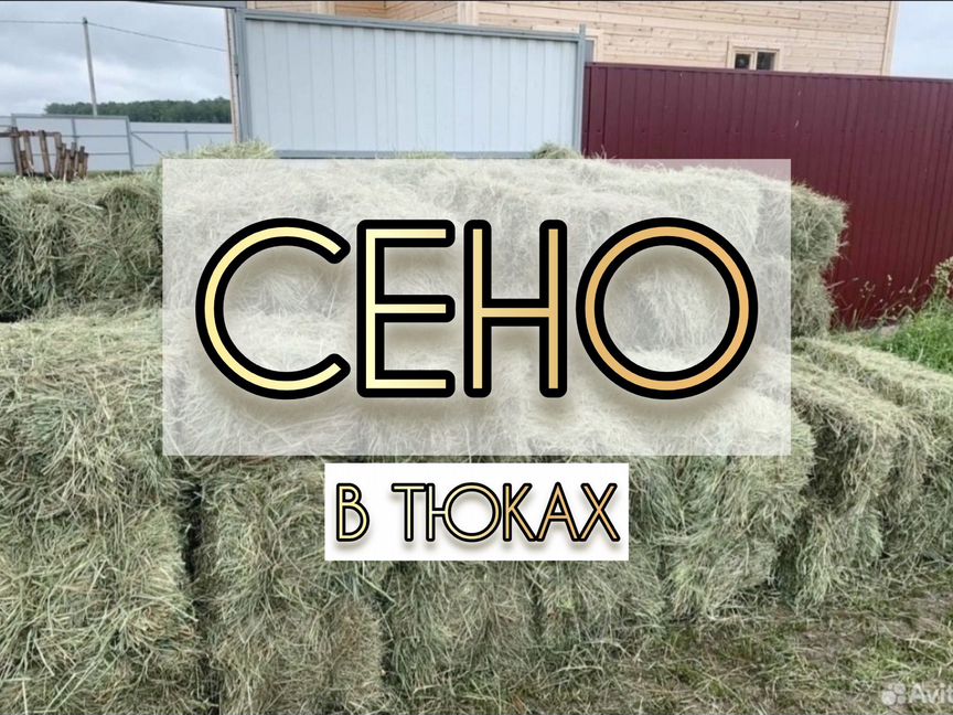 Сено в тюках