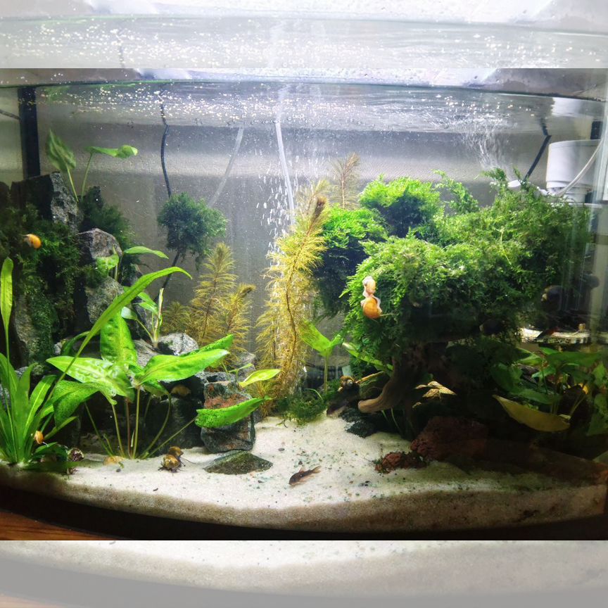 Аквариум 120л с рыбками и оборудованием