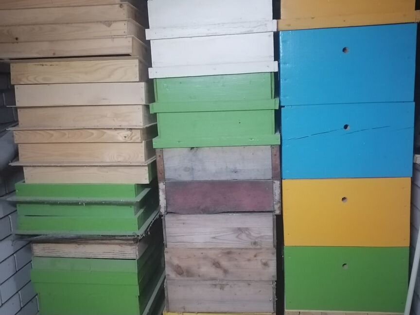 Улья Дадан для пчел