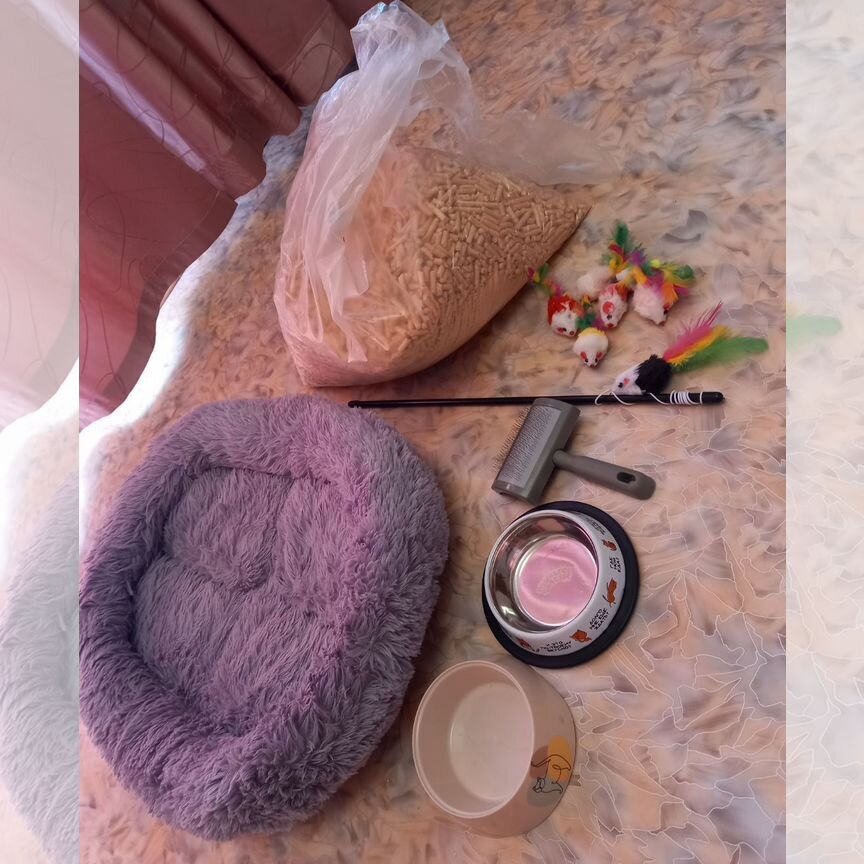 Всё для кошечки