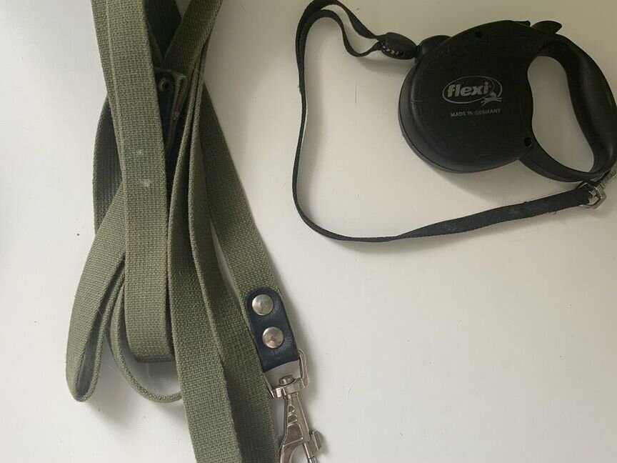 Амуниция для собак бесплатно